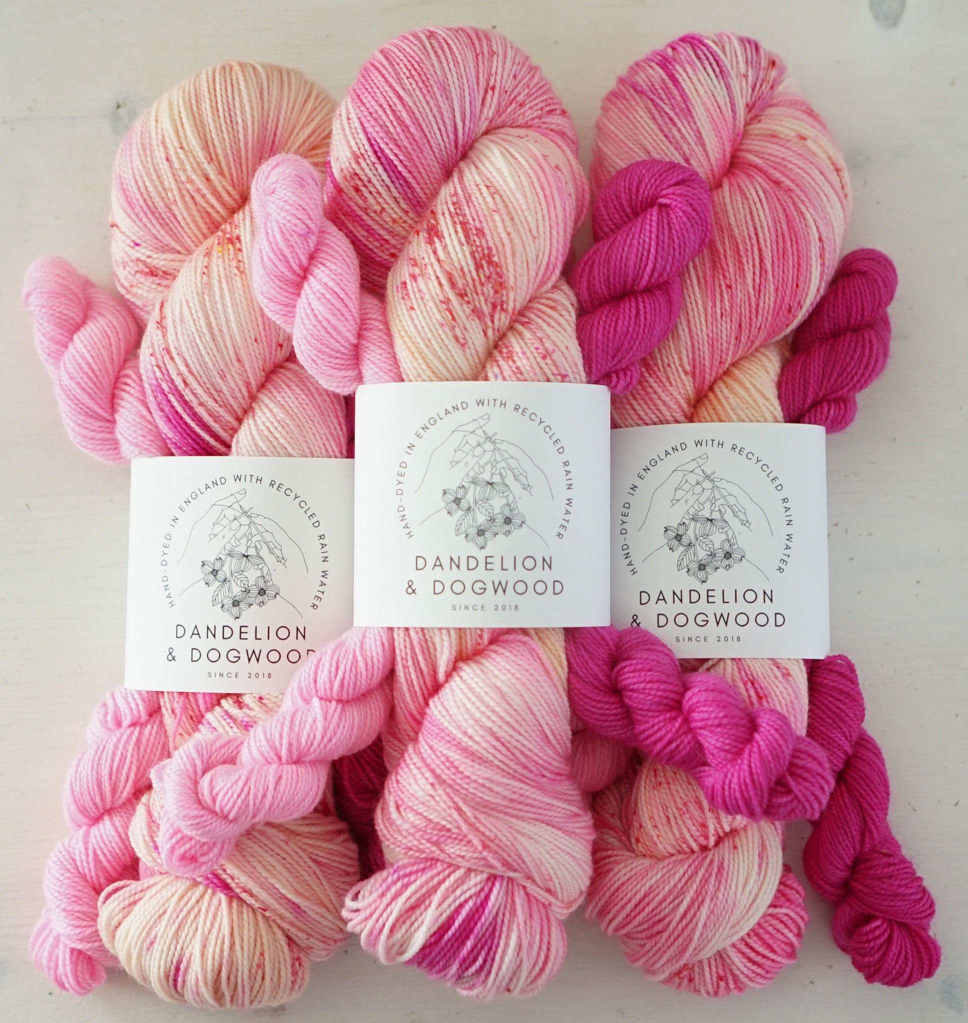Dandelion & Dogwood | Hand Dyed Yarn | Hand Dyed Wool – Dandelion and ...